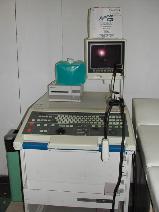 Flying Samaritans, the Seed to Pediatric Point-of-Care Ultrasound | The ...